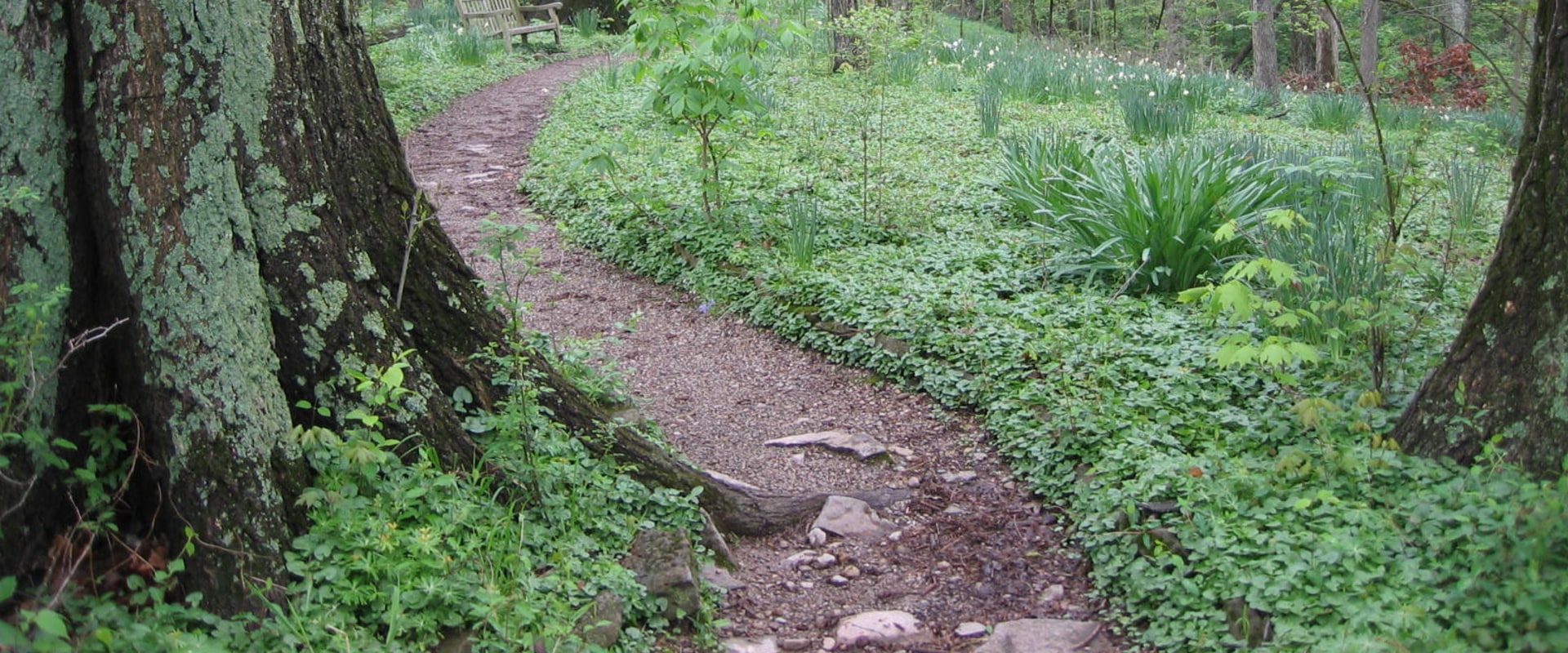 Visualization Scripts